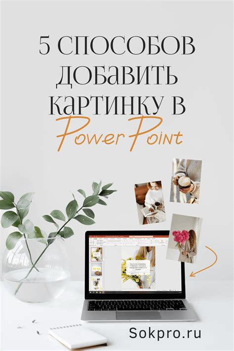 5 способов вставить картинку в Powerpoint