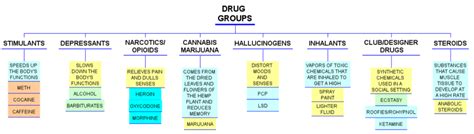 Health 7 Drug Groups Diagram Quizlet