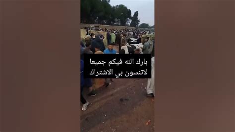 عجل سمين اللهم بارك في سوق الغنم بي مدينة لخميسات Youtube