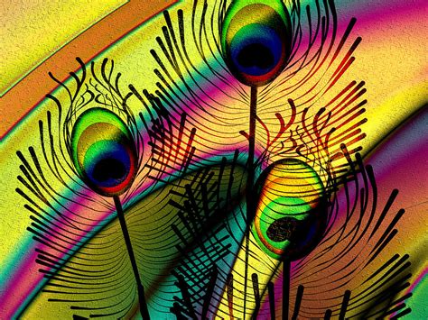 Peacock Fun Digital Art By Kiki Art Fine Art America