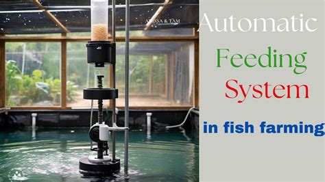 Types Of Fish Feed Sustainable Aquafeed Solution
