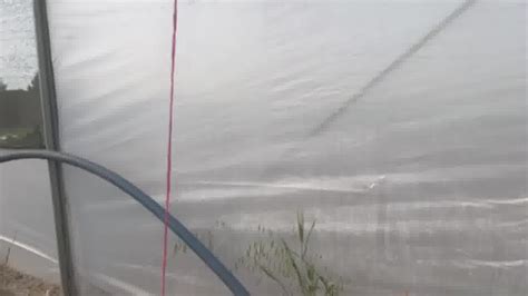 Plant Path Segmentation Instance Segmentation Dataset By Yunus