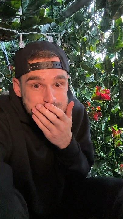 Levende Struik Prank🌳 Youtube