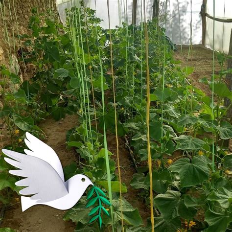 Mohammad Reza Moradi Moradi