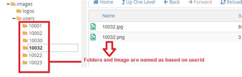 Php How To Get Image In Laravel Stack Overflow