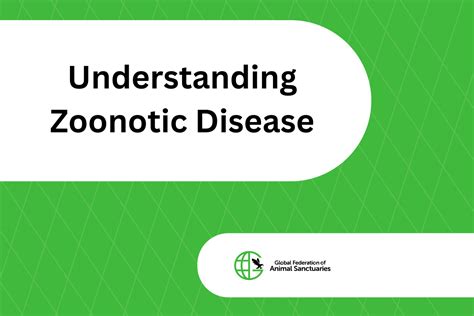 Understanding Zoonotic Disease Global Federation Of Animal Sanctuaries