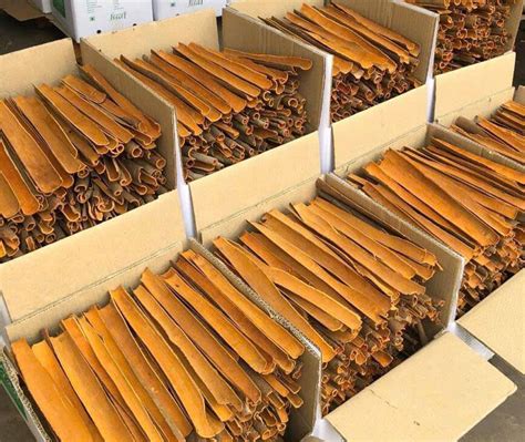 Split Cassia Tnt Agri