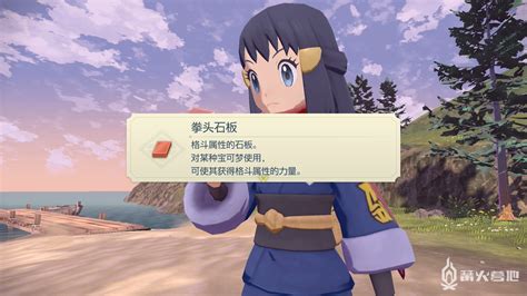 《宝可梦传说 阿尔宙斯》二周目攻略 起始海滩的石板 宝可梦传说 阿尔宙斯攻略 篝火营地
