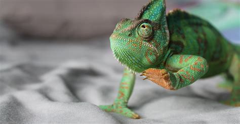 4 Practical Ways To Boost Employee Adaptability