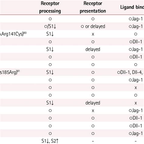 Effects Of Notch3 Mutations On The Notch3 Signaling Pathway Download