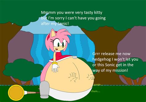 Sonic Rush Alt Ending By Xsallyxacornxx On Deviantart