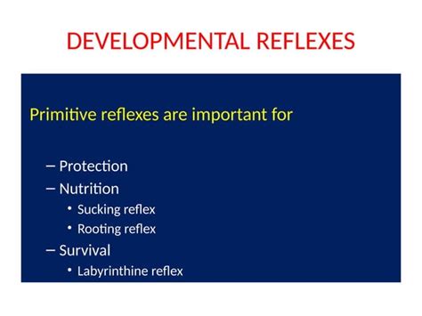 6 Developmental Reflexes Ppt Personalpptx