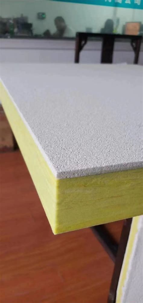 Monolithic Acoustic Ceiling Solution Ultra Smooth Seamless Sound