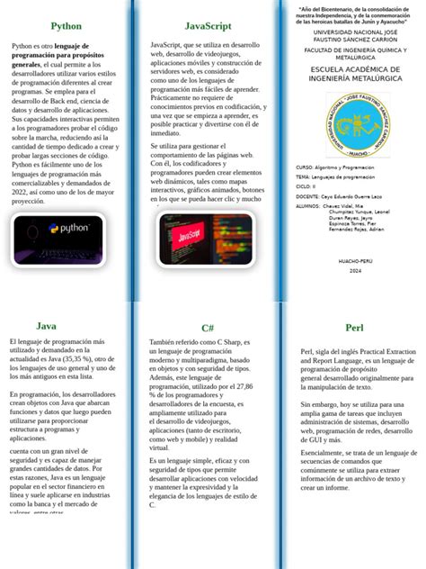 Triptico Lenguajes Pdf Lenguaje De Programación Programación De Computadoras