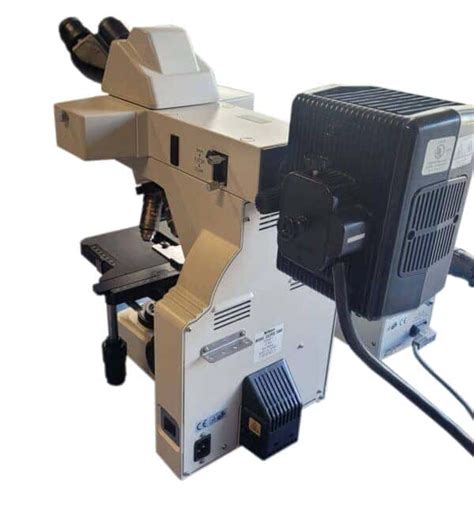 Nikon Eclipse E400 Binocular Fluorescence Microscope Labmakelaar Benelux