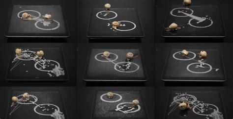 Sass Klaassen And Driessen Sensing Movements Of Trees And Snails