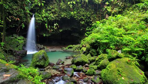 Why Visit Dominica Island Of Nature Best Travel Insurance Start Travel