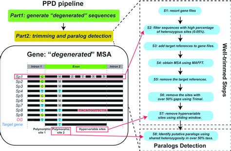 The Putative Paralogs Detection Ppd Pipeline Analytical Workflow The