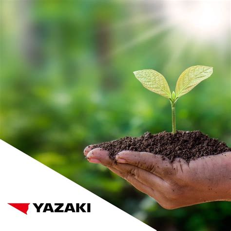 Andrea Raicevic Posted On Linkedin