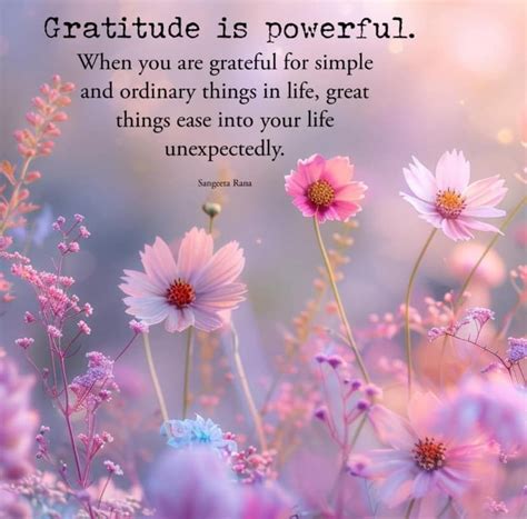 Gratitude Grateful For A New Day Quotes Grateful Quotes Gratitude