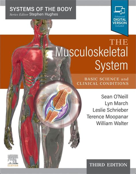 The Endocrine System 3rd Edition