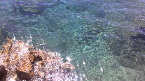 A Time For Love Webstermendel Katarina Jurić And Dorian Cuculić Youtube