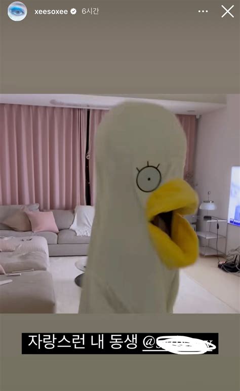 친여동생 인스타에 댓글 다는 한소희ㅋㅋ 연예이슈 수다방 네모판