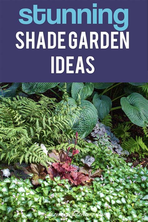 Shade Garden Design Ideas How To Design A Stunning Shade Garden With