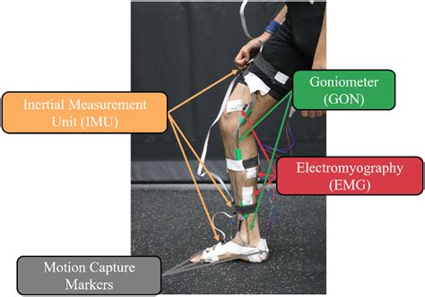 Figure 1 From A Machine Learning Strategy For Locomotion Classification