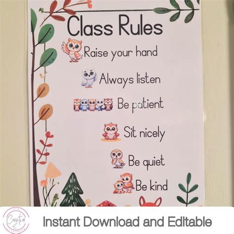 Owl Theme Classroom Rules Posters Printable Class Rules Posters For