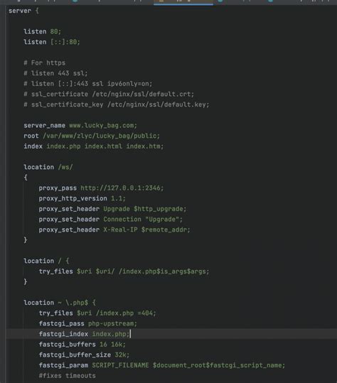 Nginx 代理 Websocket 报502错误