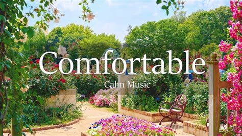 마음을 편안하게 해주는 좋은 피아노 작품 힘든 하루를 보낸 후 Calm Music YouTube