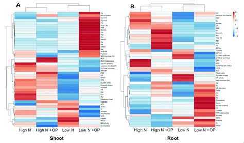 Cluster Heat Map Analysis Summarizing The Maize Shoot A And Root Download Scientific