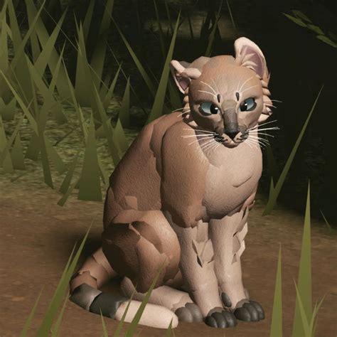 R Ixvuliz On Instagram Cougar Wcue Warriorcatunlimitededition