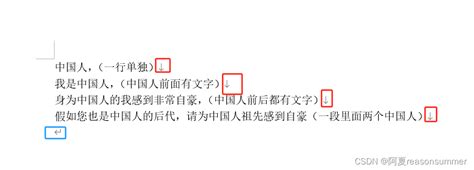 【技术类 02】python实现docx段落文字的 手动换行符（软回车）”变成 段落标记（硬回车）”python Docx 段落标记 Csdn博客