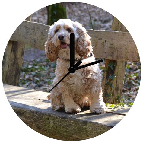 American Cocker Spaniel Dog Personalised Wall Clock Personaprint