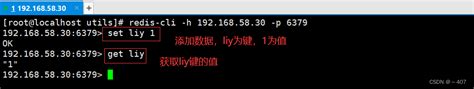 nosql之 redis配置 redis的install server csdn博客