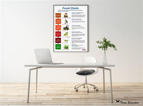 Food Chain Poster Biology Poster High School Science Food Chain