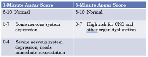 Lifespan Exam 1 Peds Flashcards Quizlet