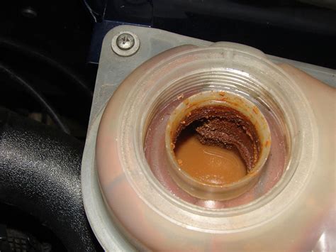 Help Is My Coolant Messed Up G 12 A8d Audi Forums