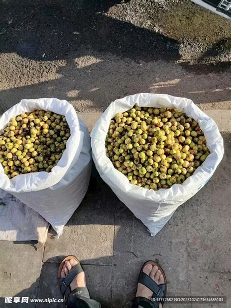 野枇杷摄影图食物原料餐饮美食摄影图库昵图网