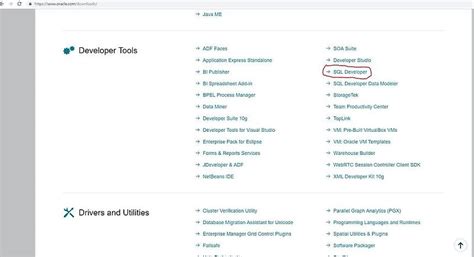 Sql Developer 설치하기