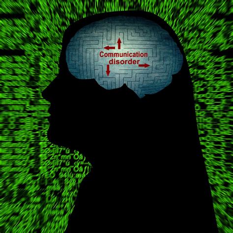 Communicative Disorders Assistant