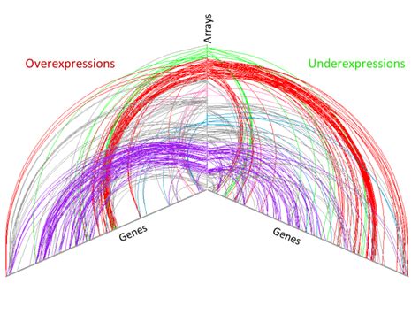 Reproducibility Of Microarray And Gene Expression Analysis Recreating