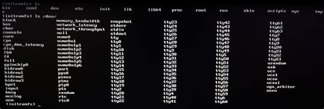 Debian Booting From Grub Starts Ok But During The Process It Says