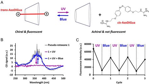 Azobenzene Dna Intercalatorcyclodextrin Pseudo‐rotaxane From
