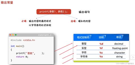 C语言12 输出常量 Csdn博客