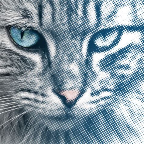 Halftone Generator Mockofun