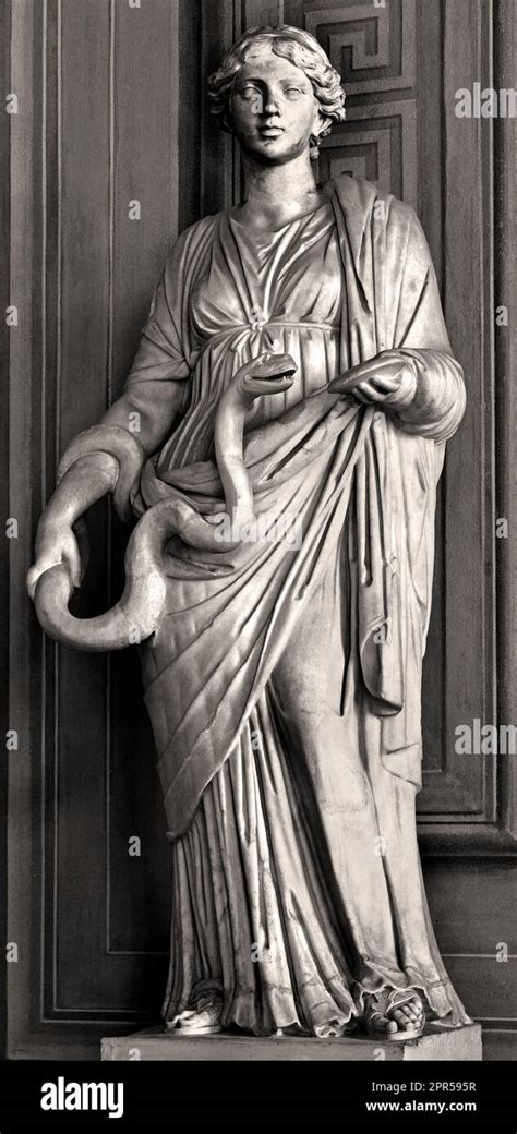 Hygiea Roman Statue In The Palatina Gallery Galleria Palatina