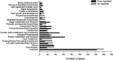 Microarray Analysis Of Differentially Regulated Genes Between Wild Download Scientific Diagram